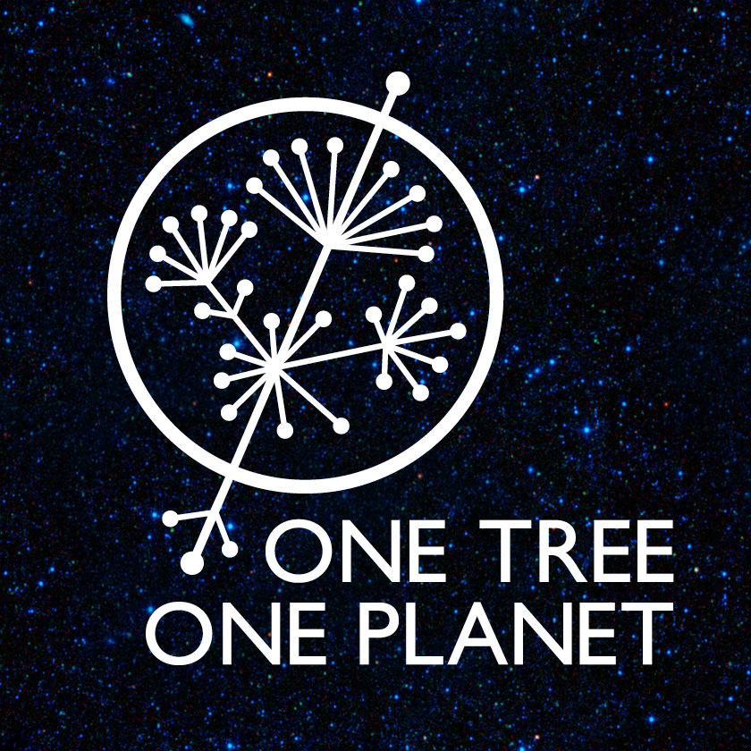 “One Tree, One Planet” Encore – Florida Museum