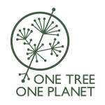 “One Tree, One Planet” World Premiere App Launch – Florida Museum