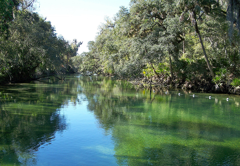 Florida Springs Film Series: “Lost Springs” – Florida Museum