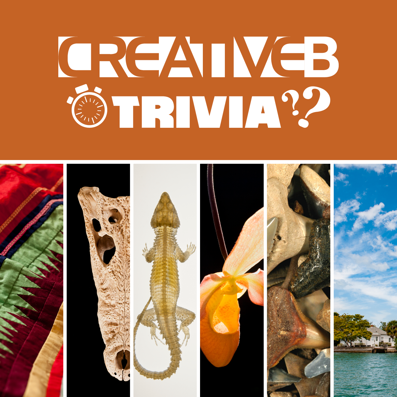 Creative B Trivia Night – Florida Museum