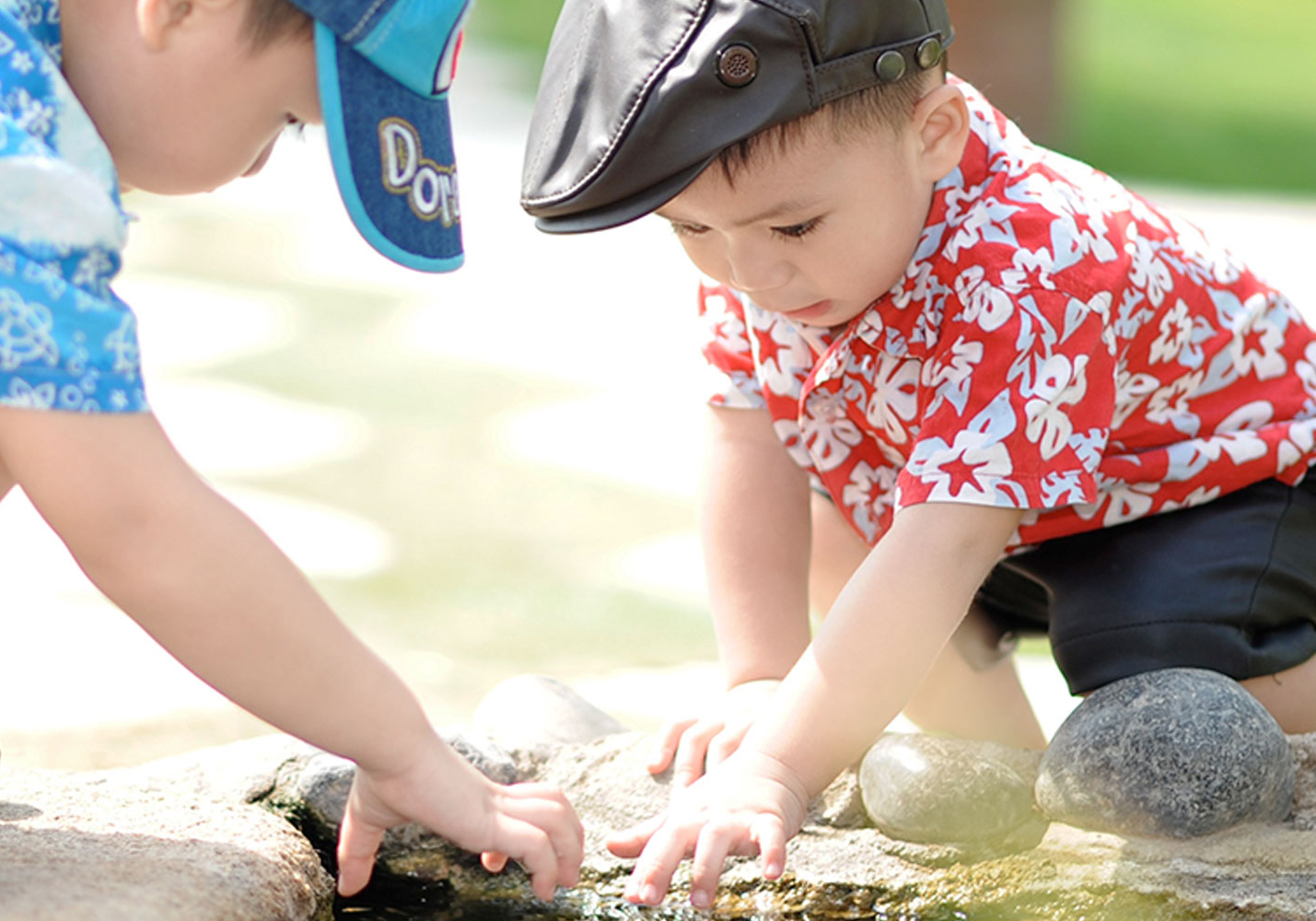 Support Saving Wildlife – Saving Wildlife