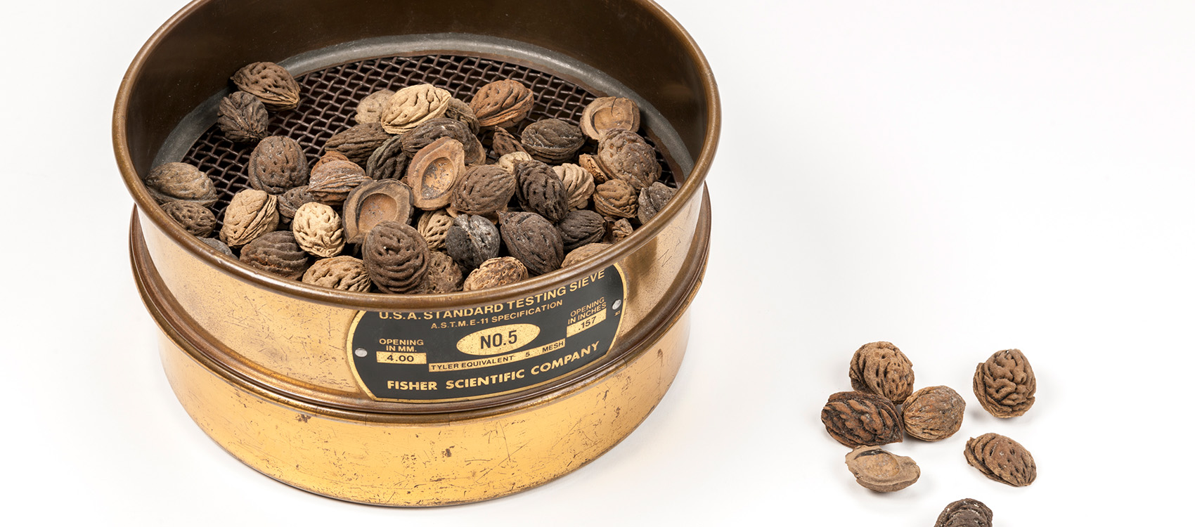 Peach Pits – Rare, Beautiful & Fascinating: 100 Years @FloridaMuseum
