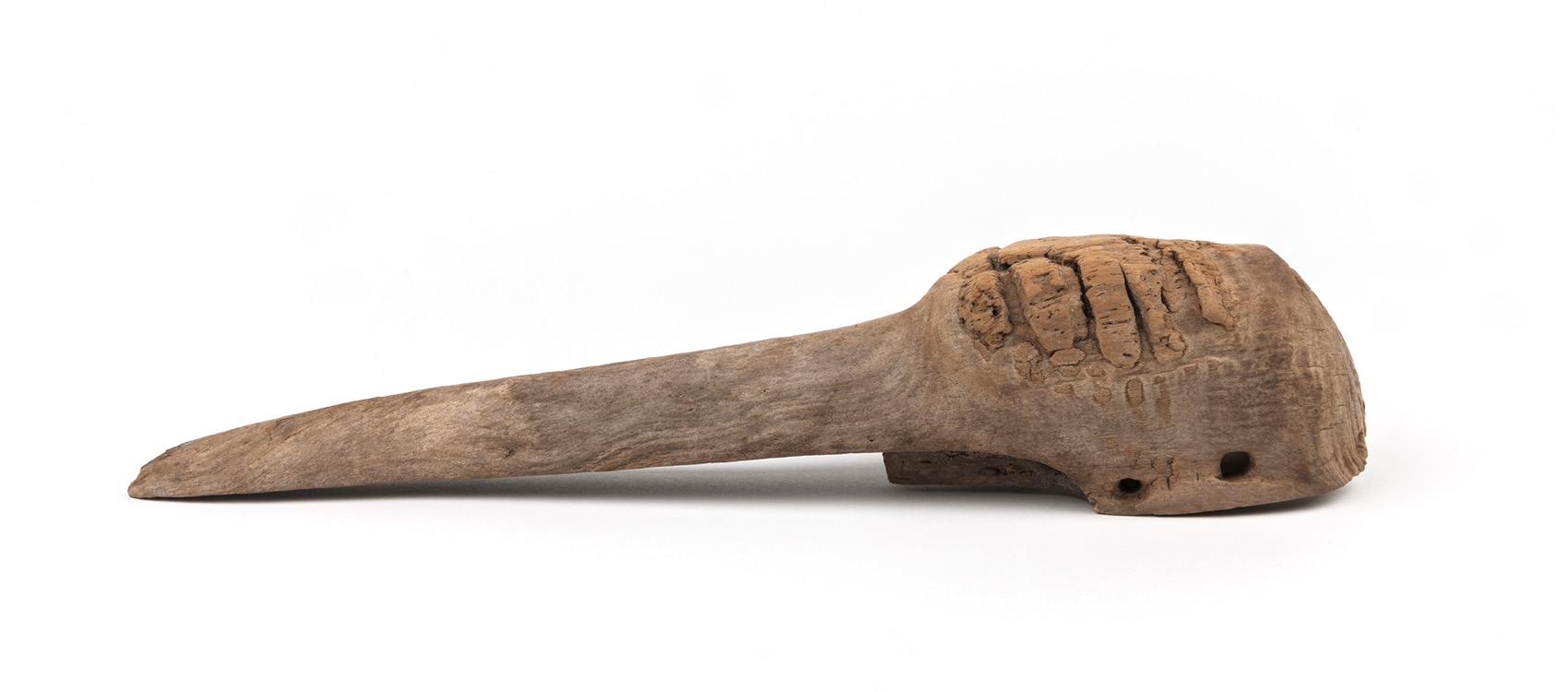 Carved Crane Head – Rare, Beautiful & Fascinating: 100 Years @FloridaMuseum