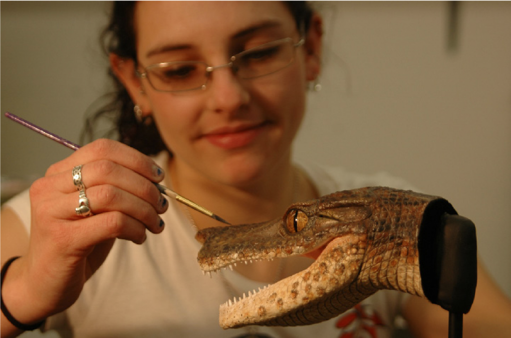 Featured Paleoartist Erin Fitzgerald – FOSSIL Project Archive