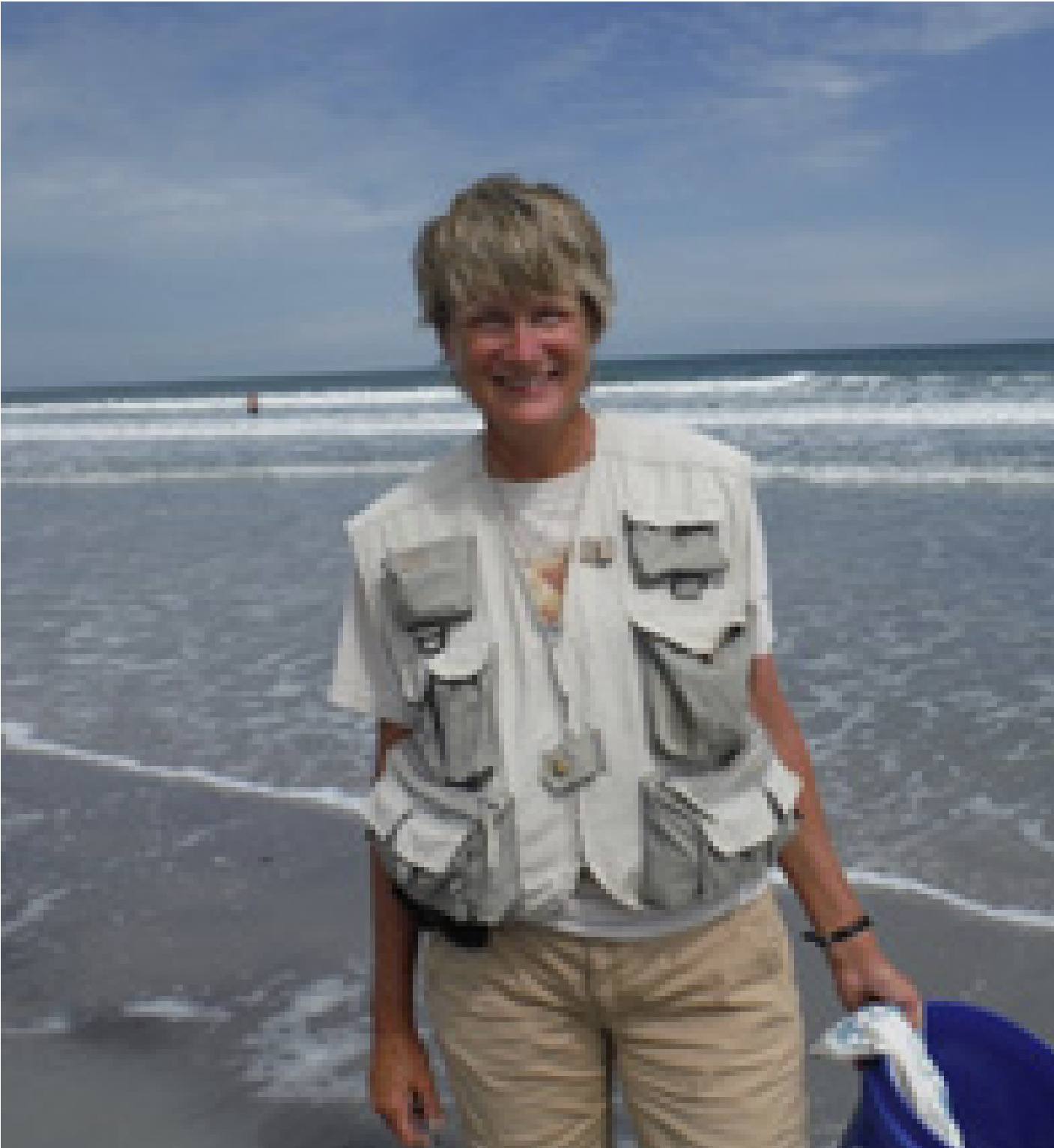 Op-ed: Creating a National Amateur/Avocational Fossil Organization ...