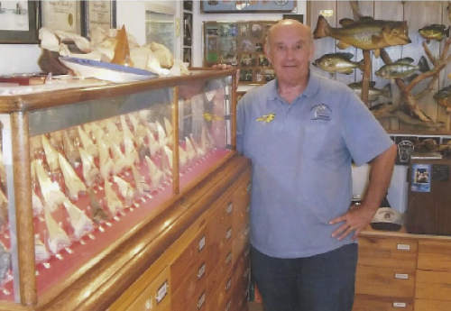 Amateur Spotlight: George W. Powell, Jr. – FOSSIL Project Archive