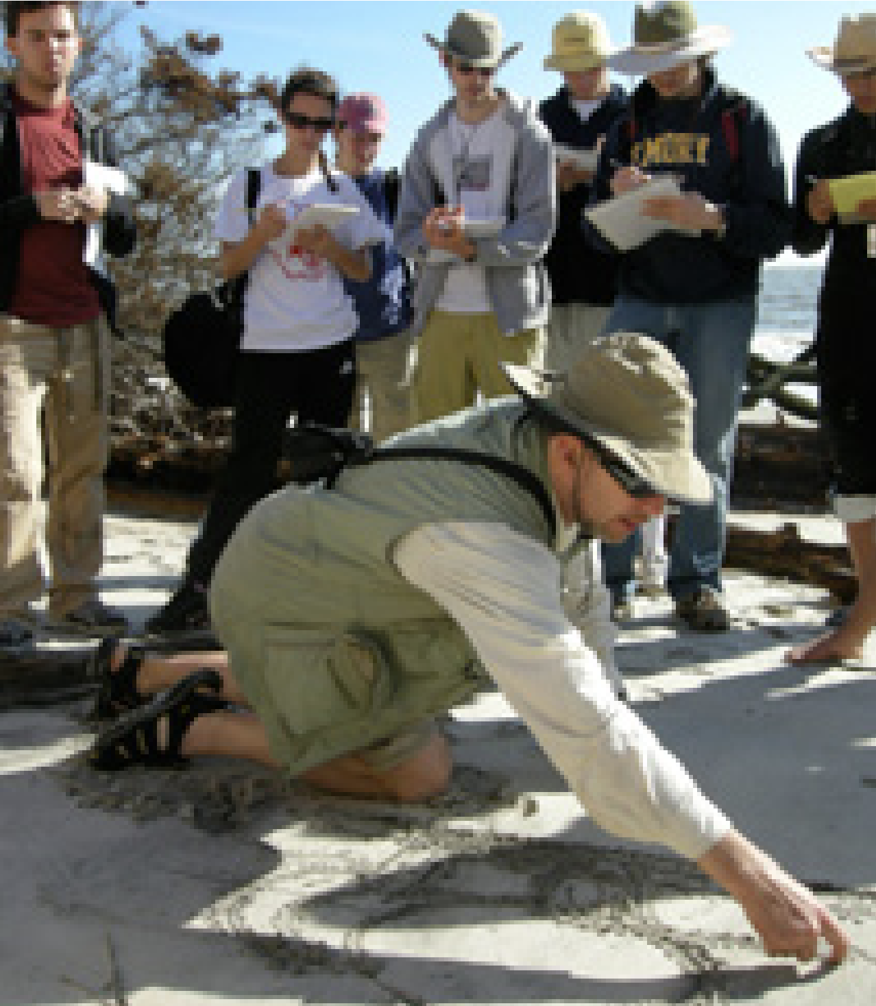 Featured Paleontologist: Anthony “Tony” Martin – FOSSIL Project Archive