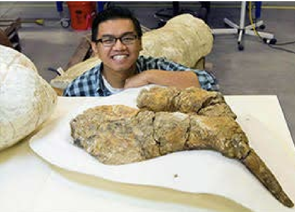 Education: Using myFOSSIL to Teach Students Databasing – FOSSIL Project ...