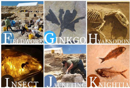 FOSSIL Project Updates, Spring 2018 – FOSSIL Project Archive