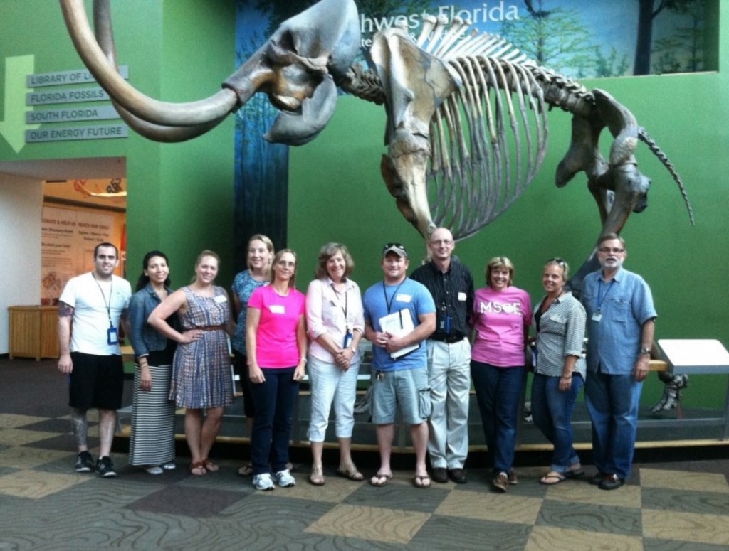 Education: Fossil Horses Go to School – FOSSIL Project Archive