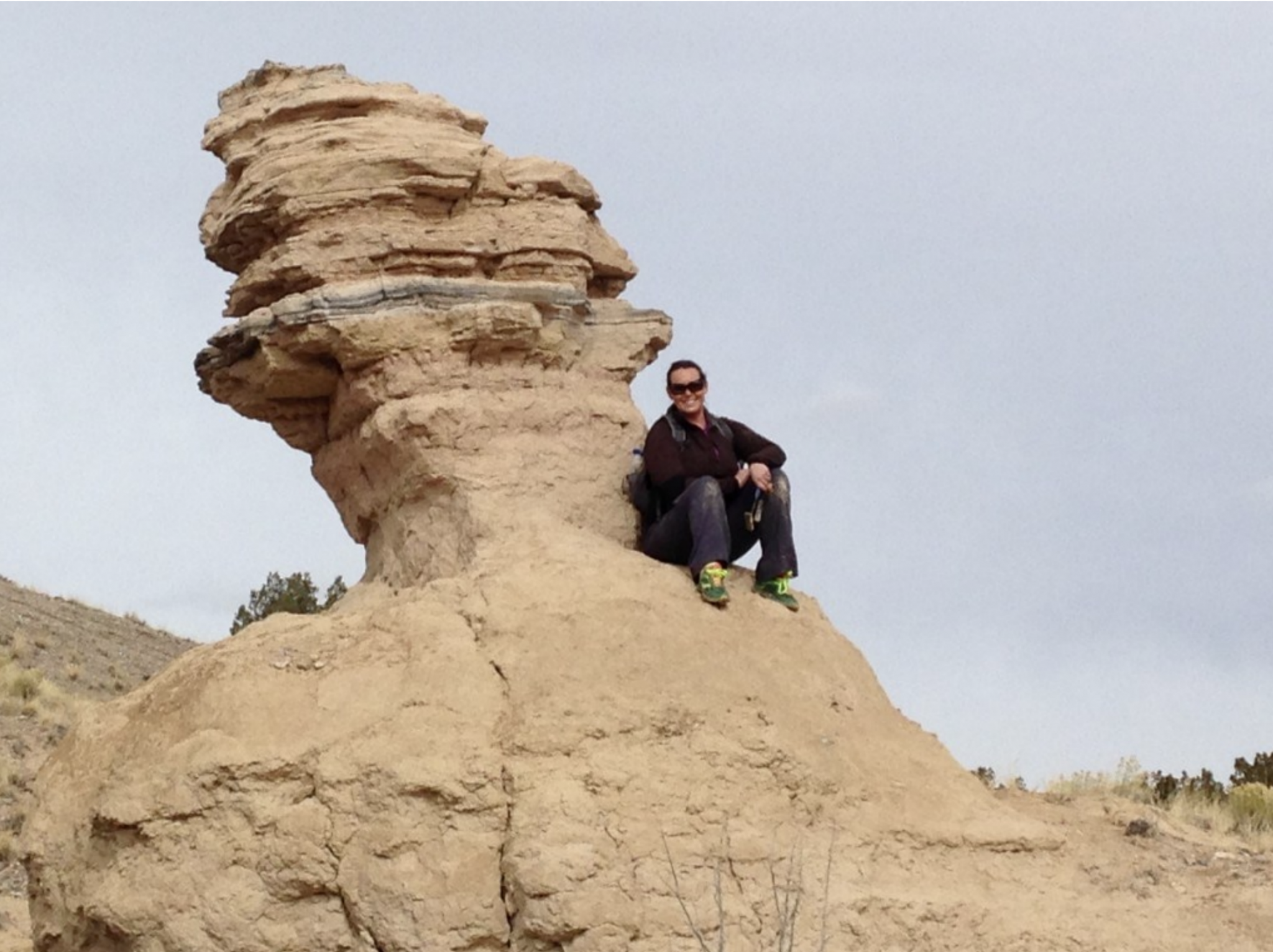 Featured Fossil: Megatylopus matthewi metatarsal – FOSSIL Project Archive