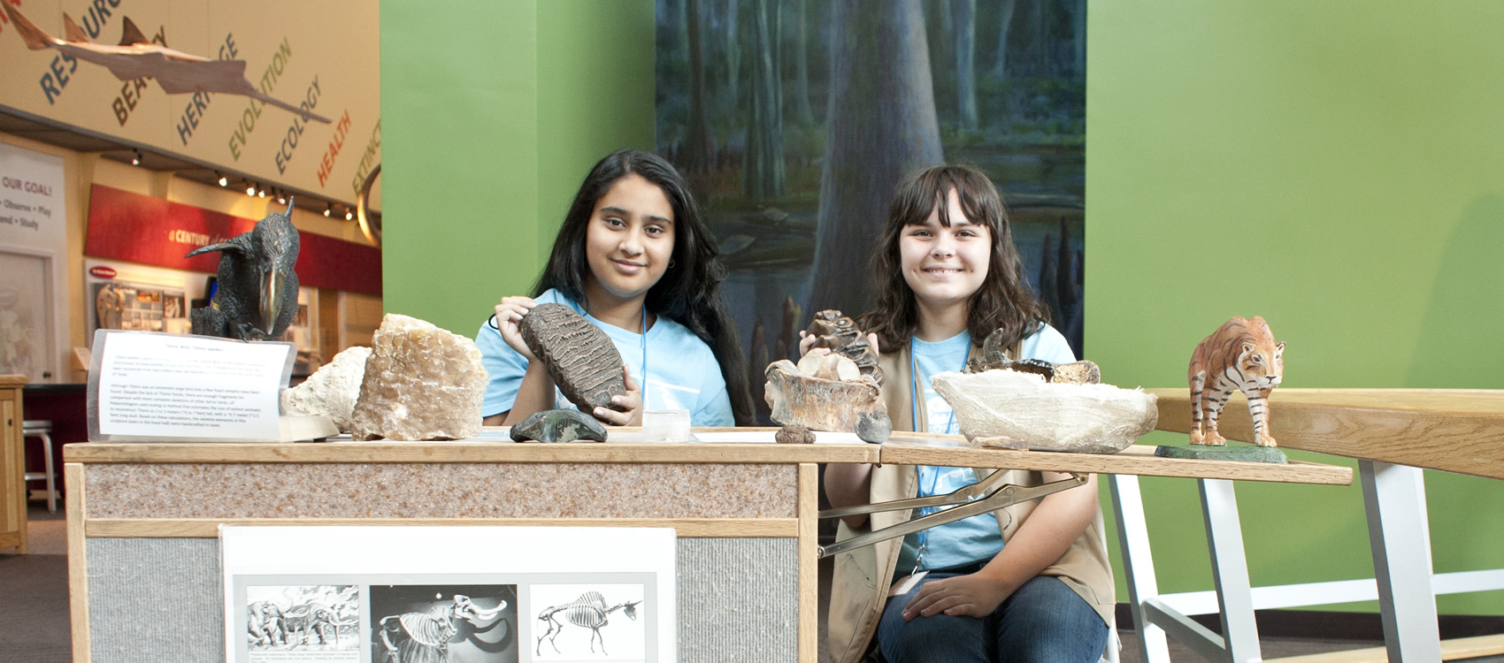 Junior Volunteer Program – Volunteers