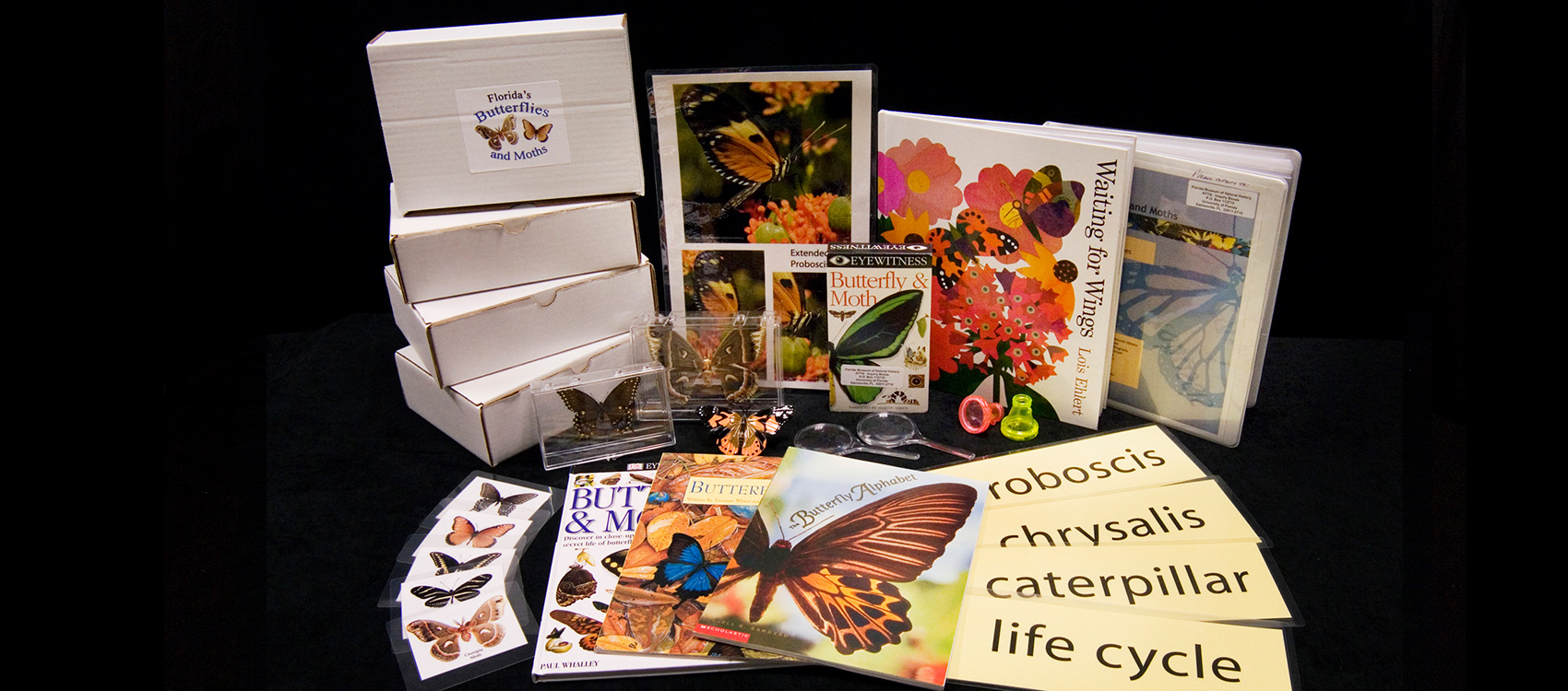 Inquiry Boxes – For Educators