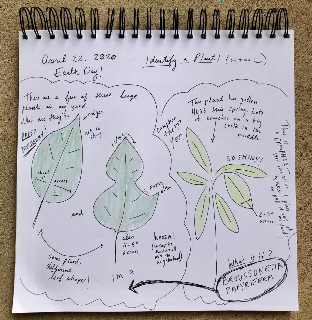 Earth Week: Nature Journaling Challenge – For Educators