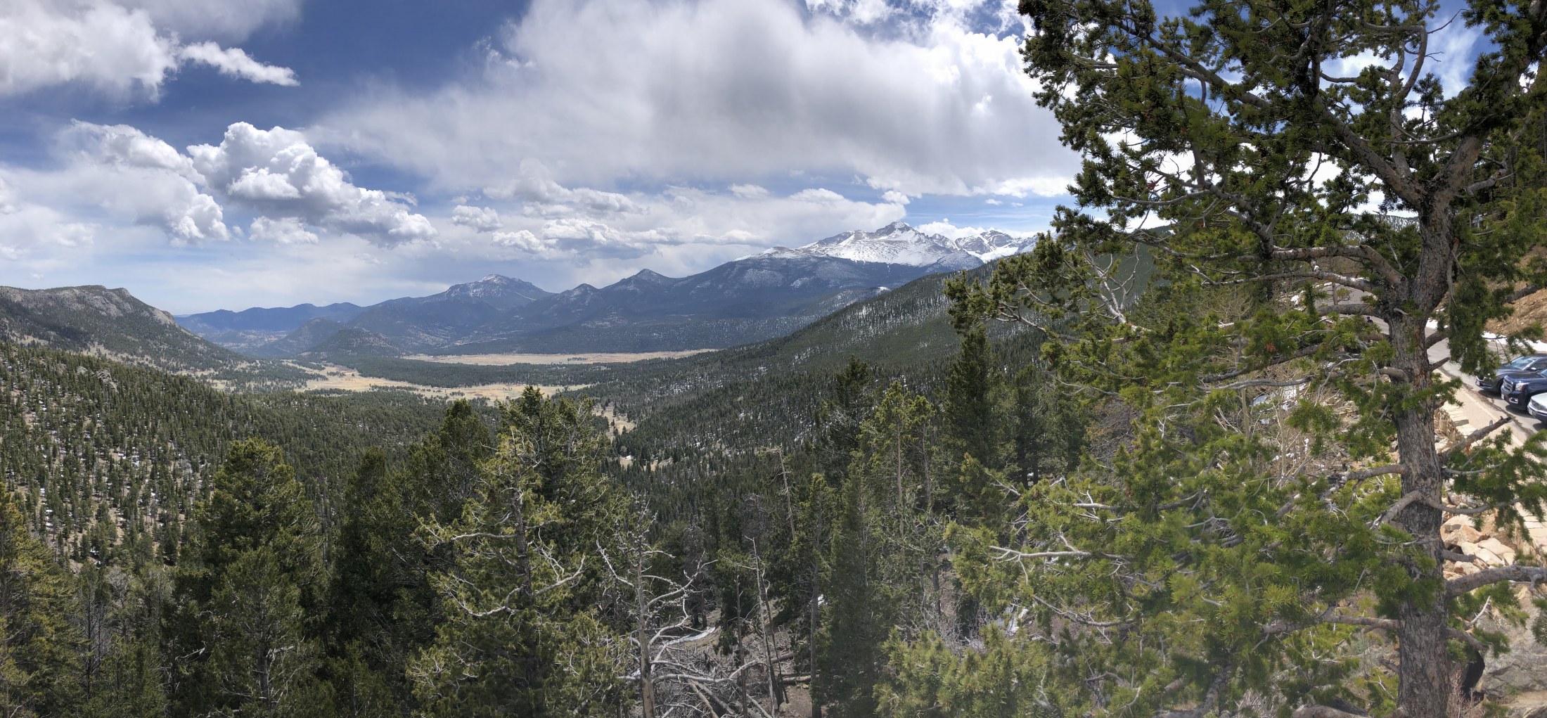 Earth Week: Nature Journaling Challenge – For Educators