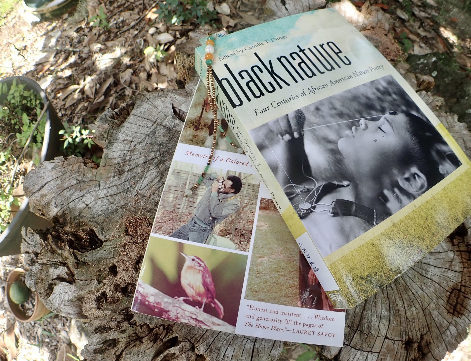 Wonder & Grow with Books Pt 2 – For Educators