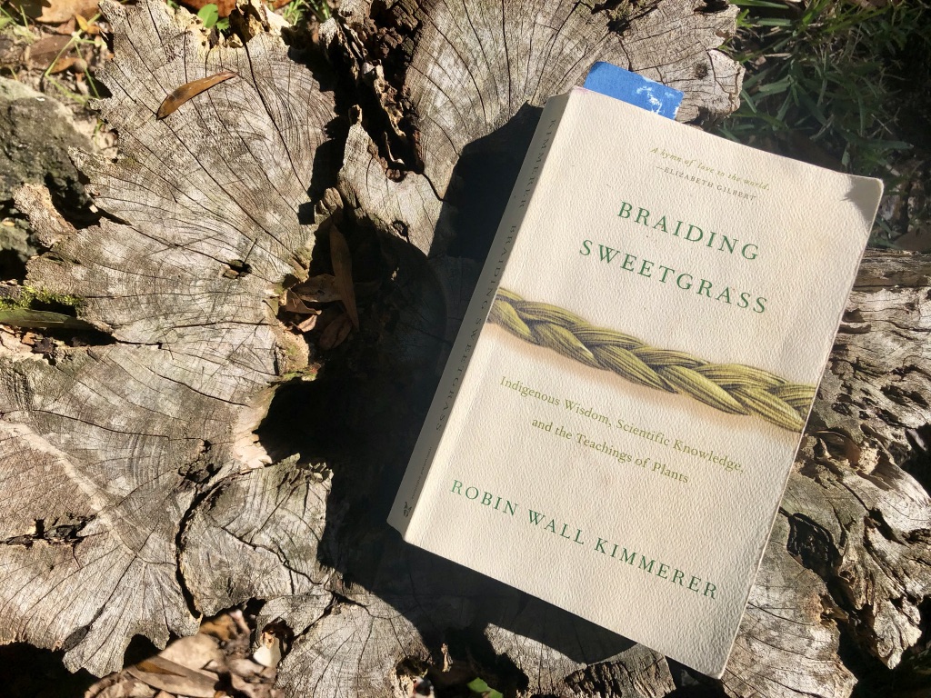Braiding Sweetgrass & Lessons Learned – For Educators
