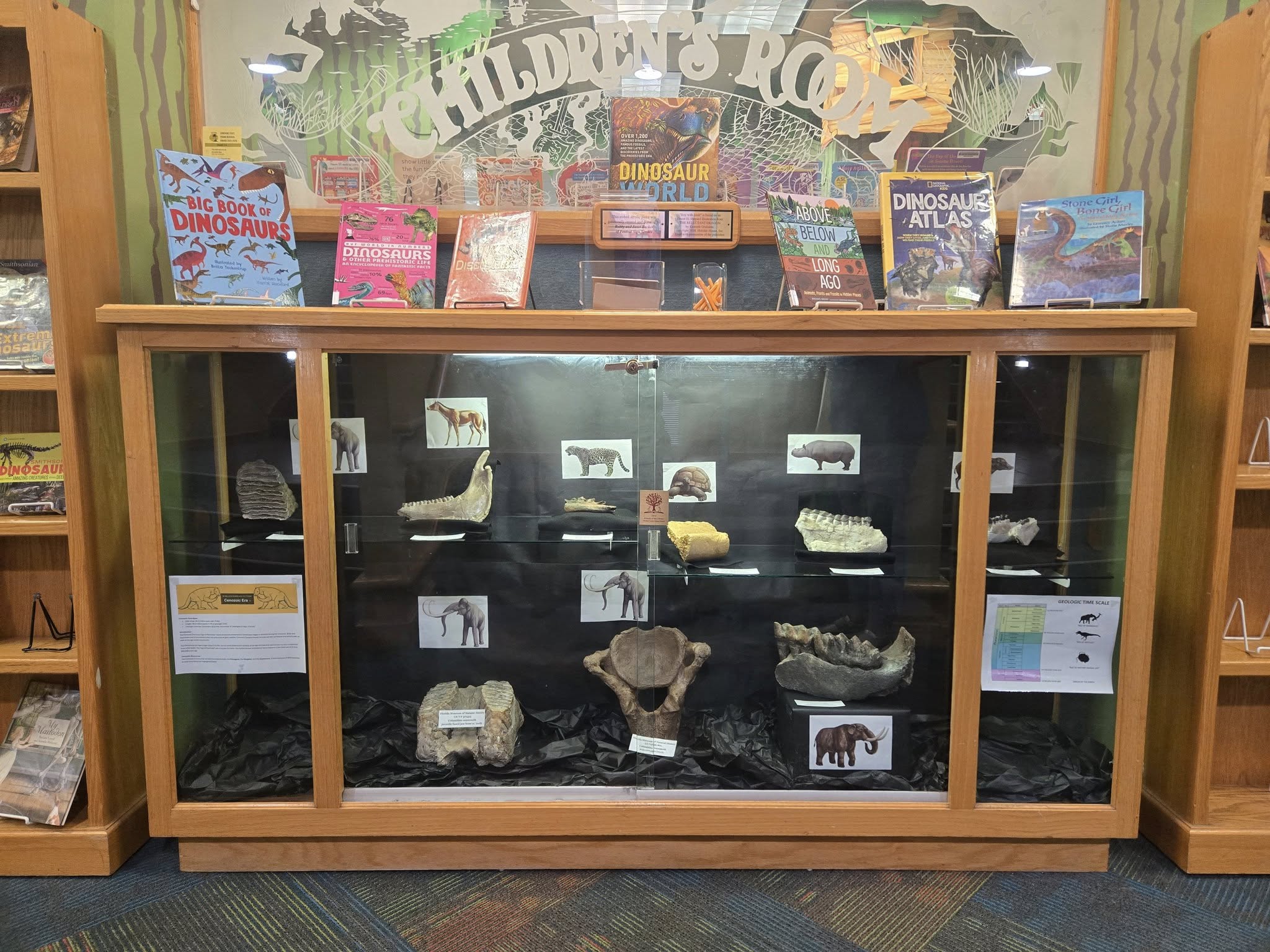 National Fossil Day with the Education Team – For Educators