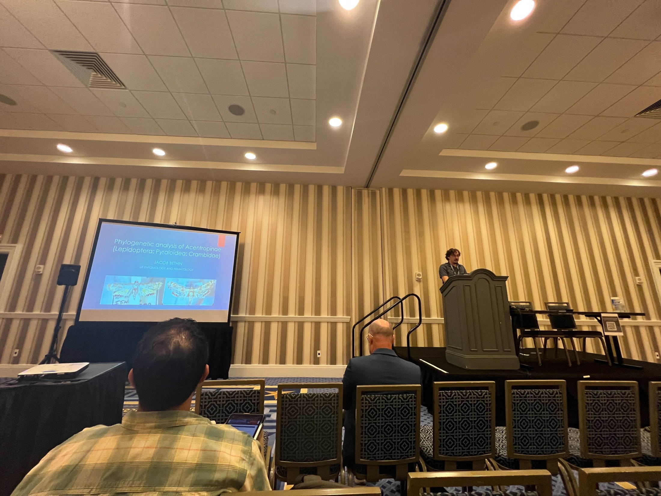 A phylogenetic analysis of Acentropinae (Lepidoptera: Pyraloidea ...