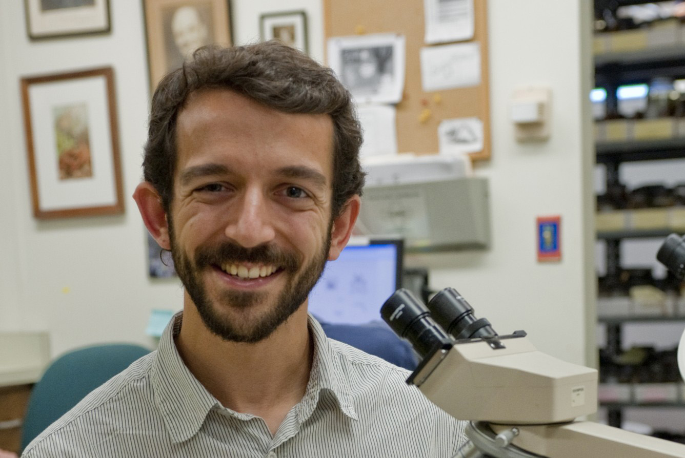 Researcher receives NSF grant to study sea cucumbers – Research News