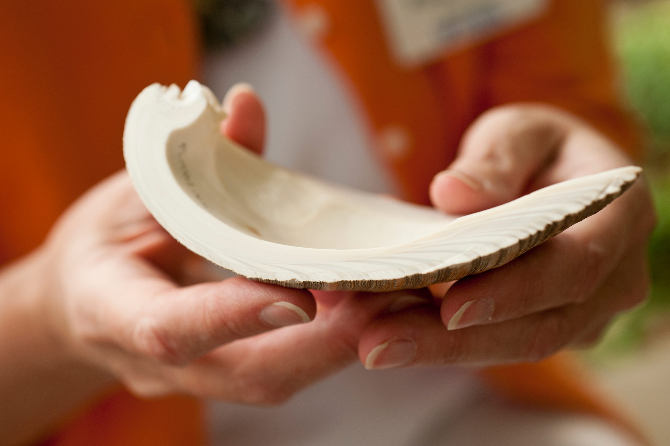 Shedding light on ancient climate change – Research News