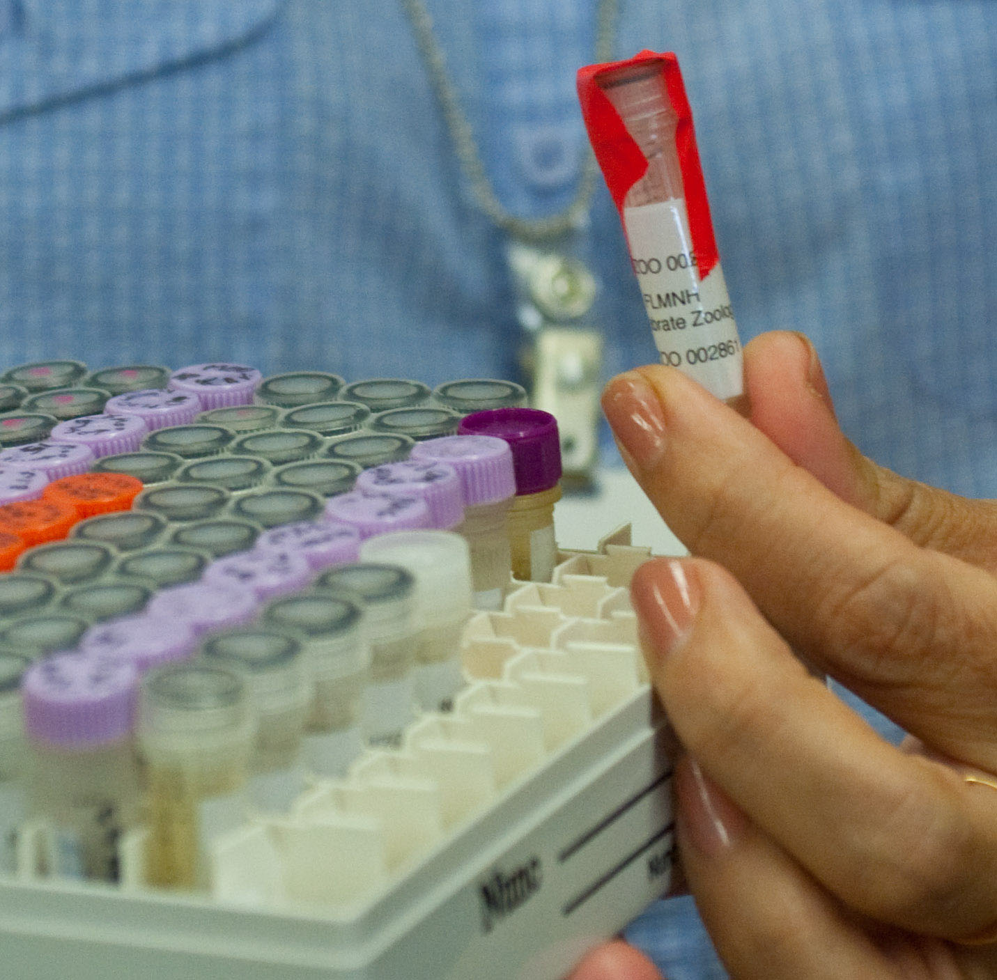 20,000th specimen added to genetic repository cryogenic freezer ...