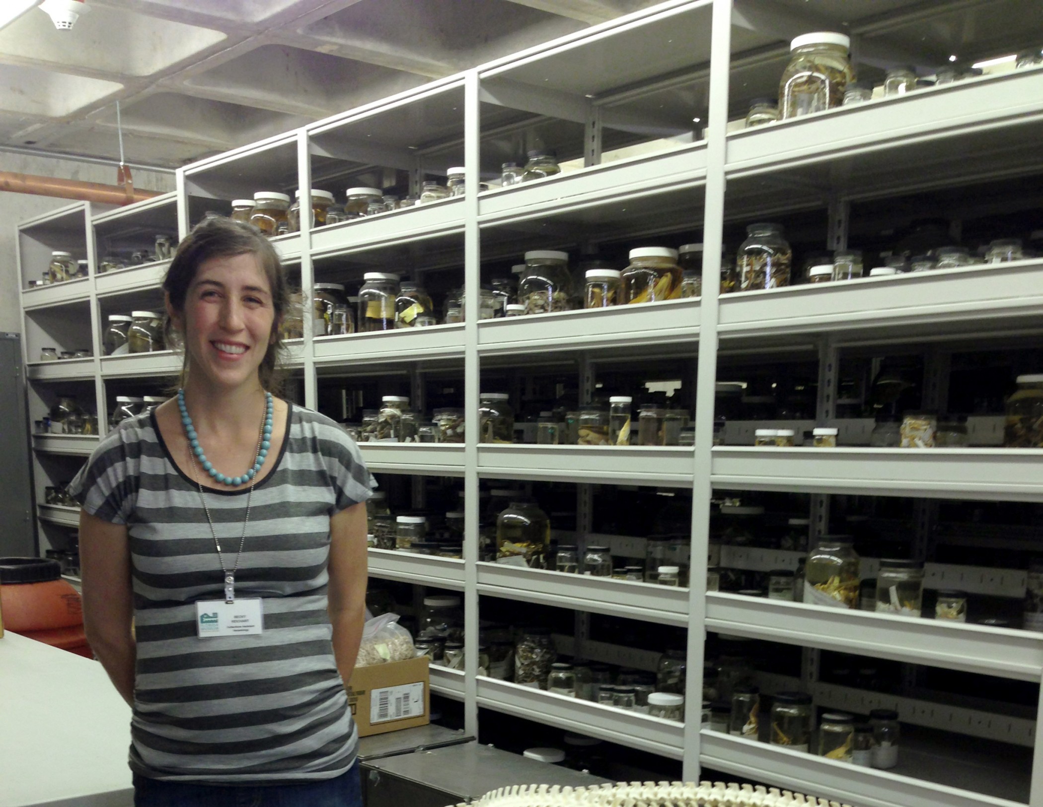 Anatomy of a burmese python – Research News