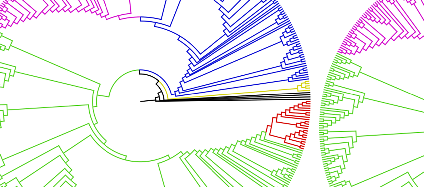 New NSF project aims to help scientists navigate the tree of life ...