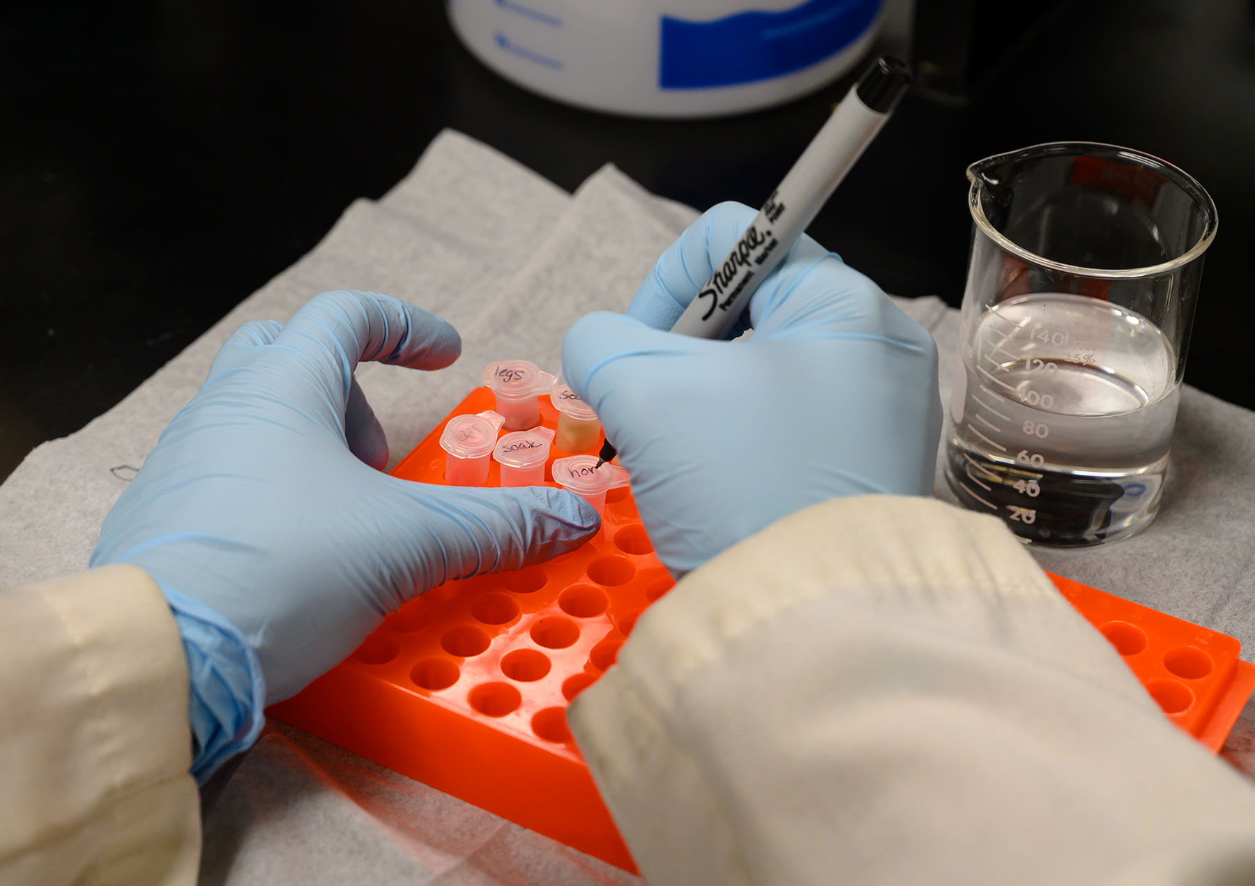 Genetic Resource Repository – Research News