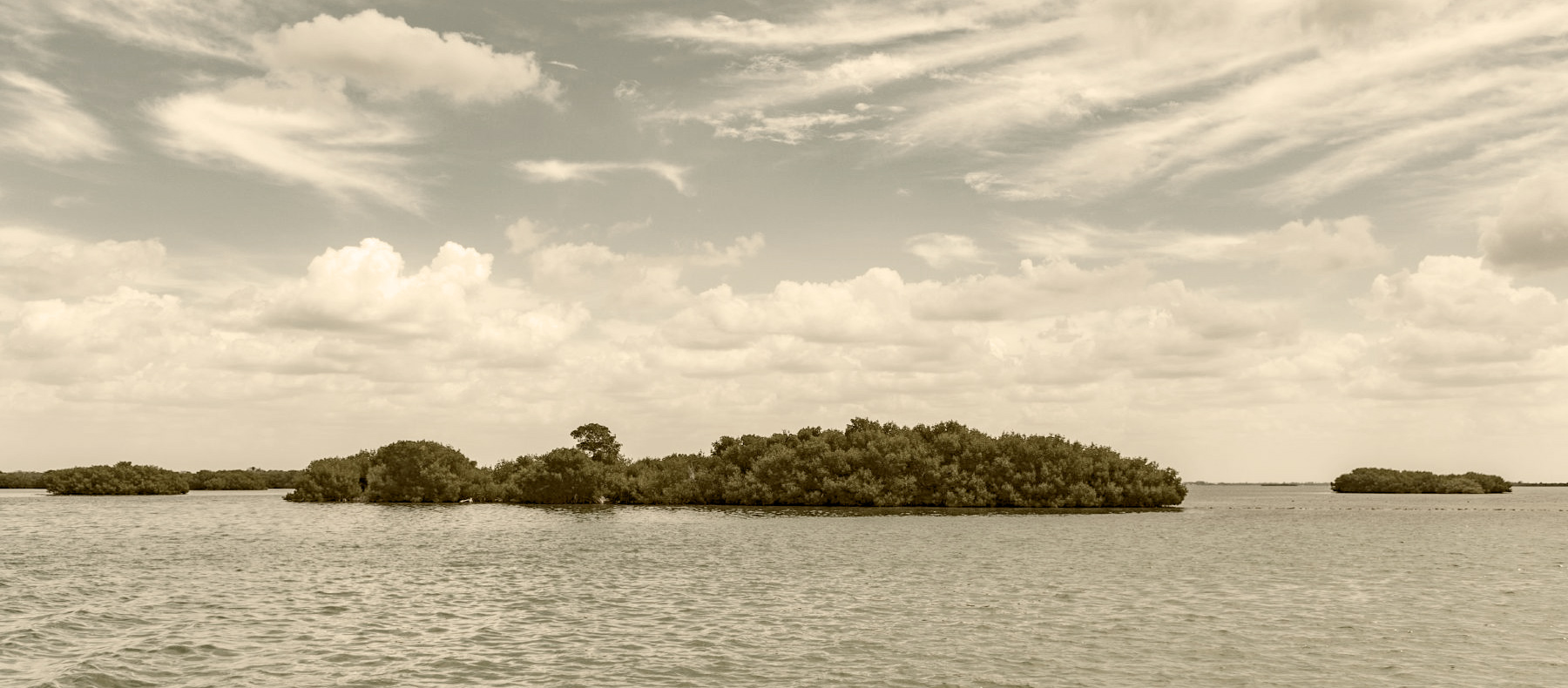 New book reveals untold history of pre-colonial Caribbean islands ...