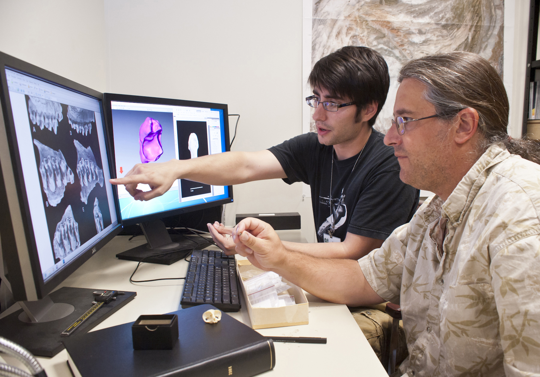 Researchers discover oldest evidence of nails in modern primates ...