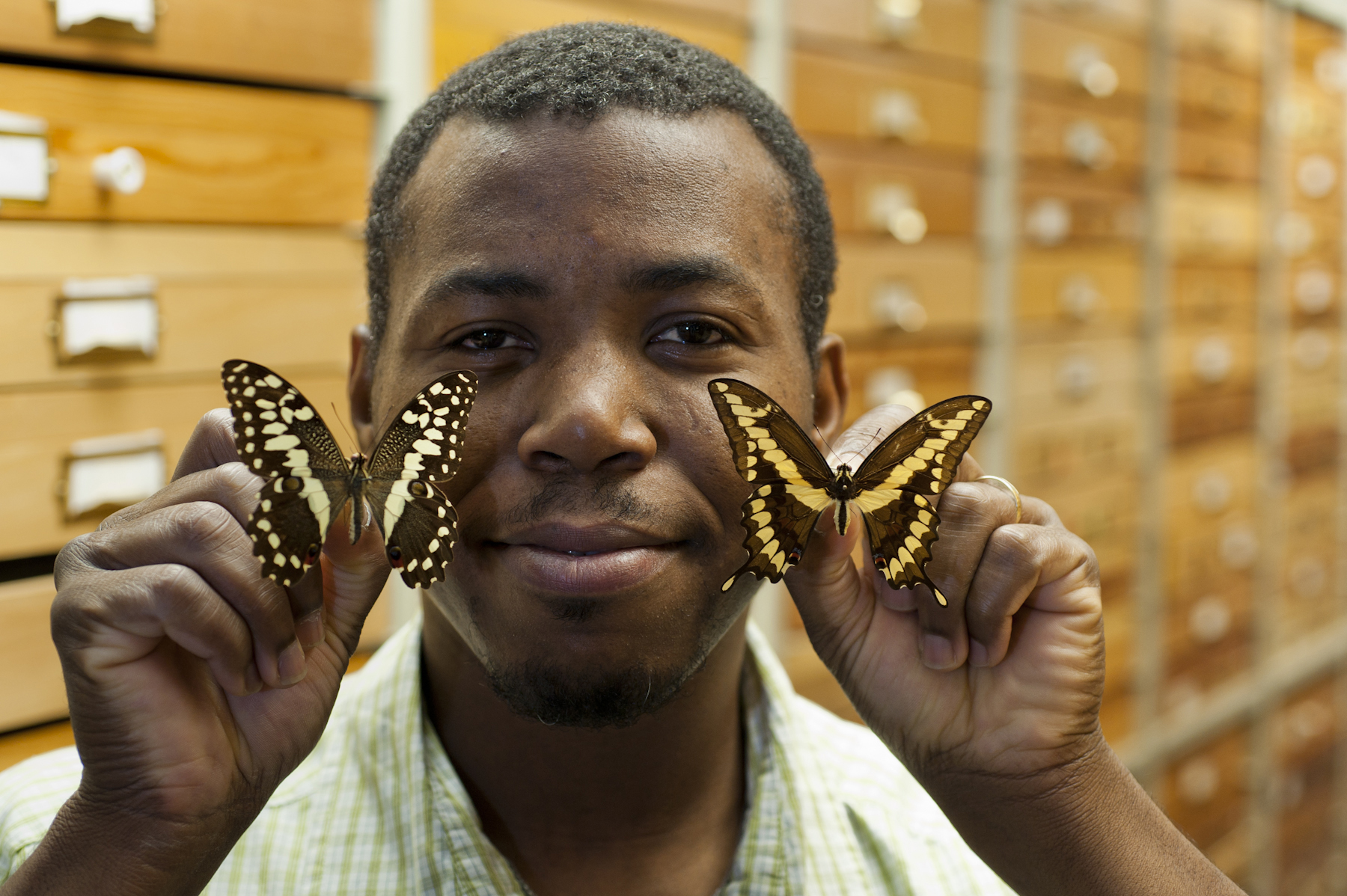 Researchers discover ‘green’ pesticide effective against citrus pests ...