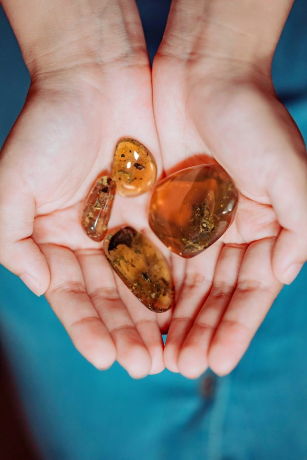 Amber fossils provide oldest evidence of frogs in wet, tropical forests ...