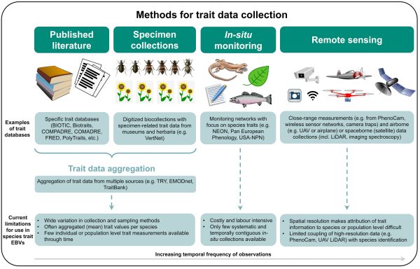 Study provides road map for measuring animal, plant traits to meet ...