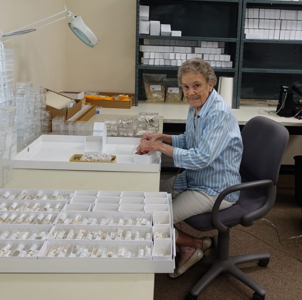 Volunteer Barbara Toomey wins Katherine Palmer Award – Florida Museum ...