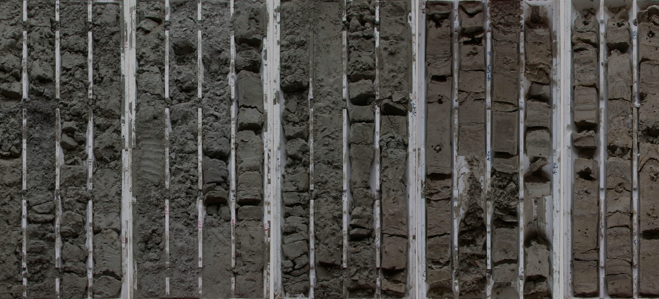 The walking dead: Fossils on the move can distort patterns of mass ...