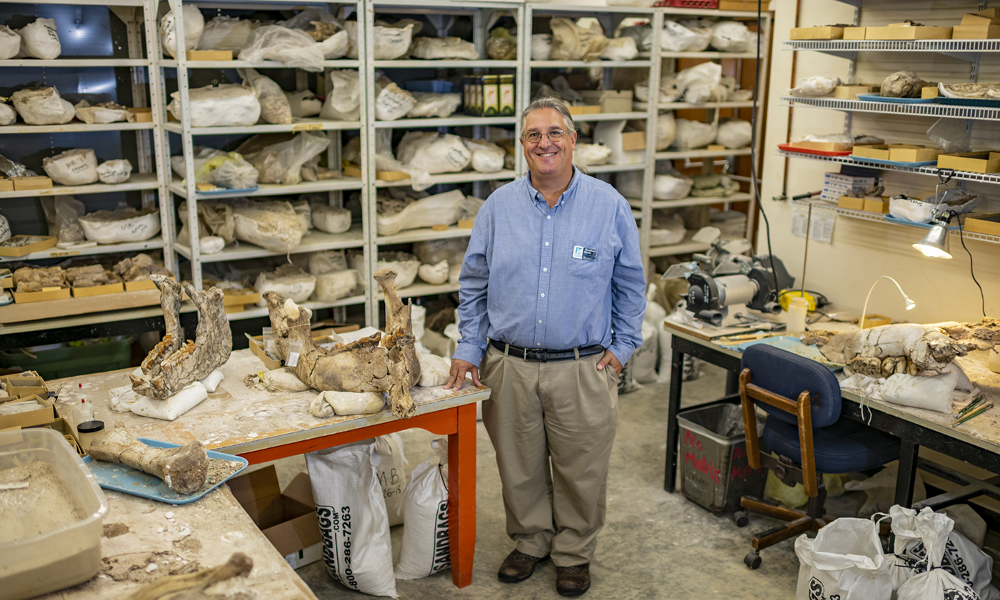 Jonathan Bloch appointed chair of department of natural history ...