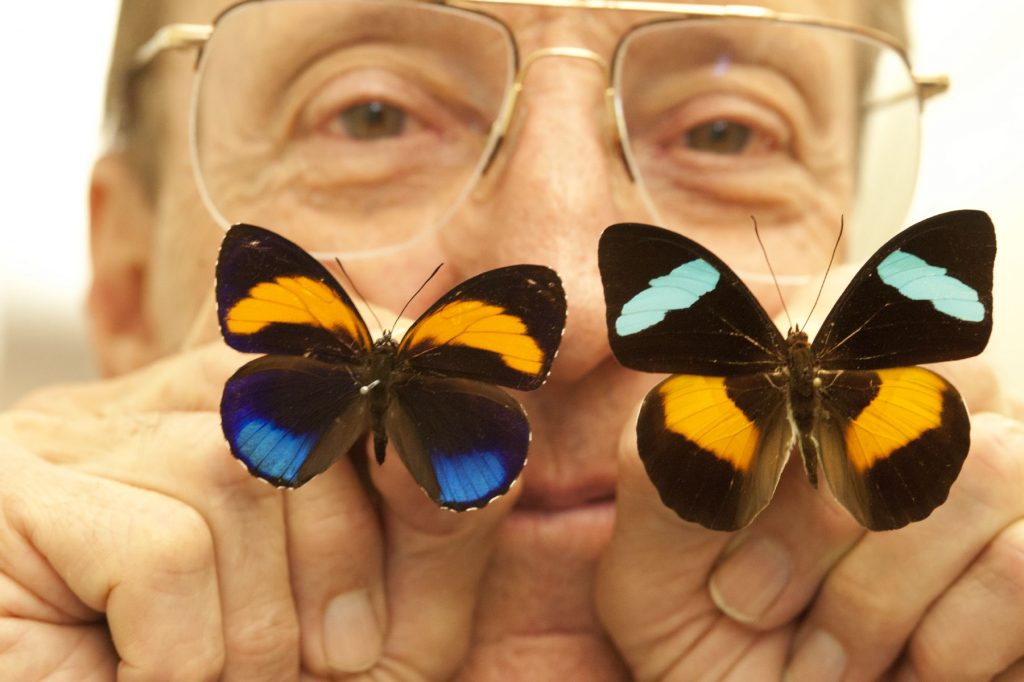 Donation of Lepidoptera collection will boost biodiversity research ...