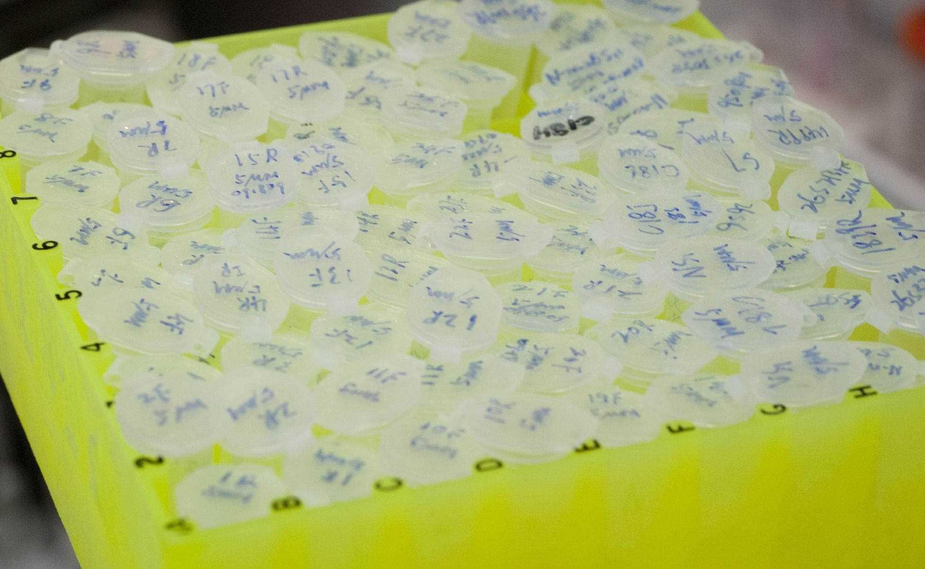 20,000th specimen added to genetic repository cryogenic freezer ...