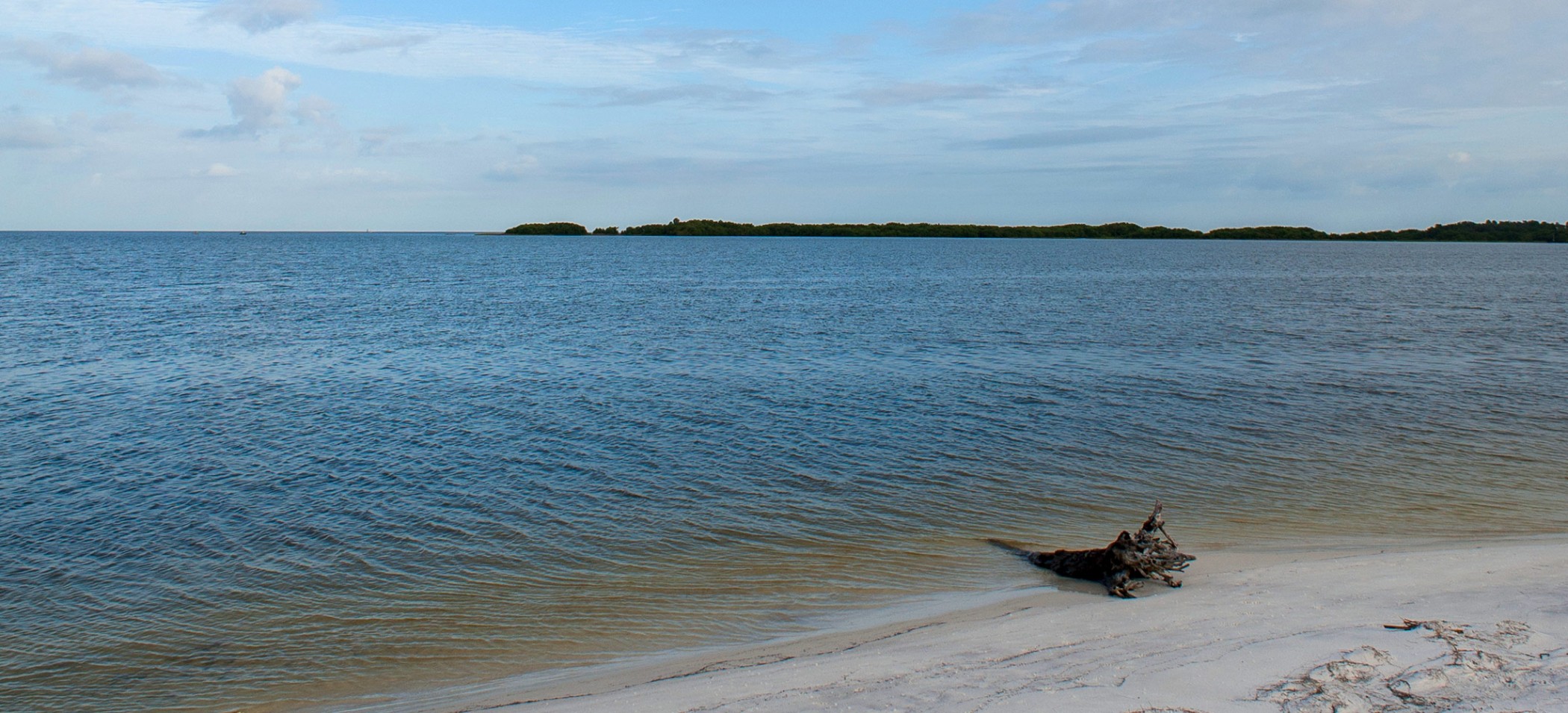 Researching 6,000 years of history in the Bahamas – Research News