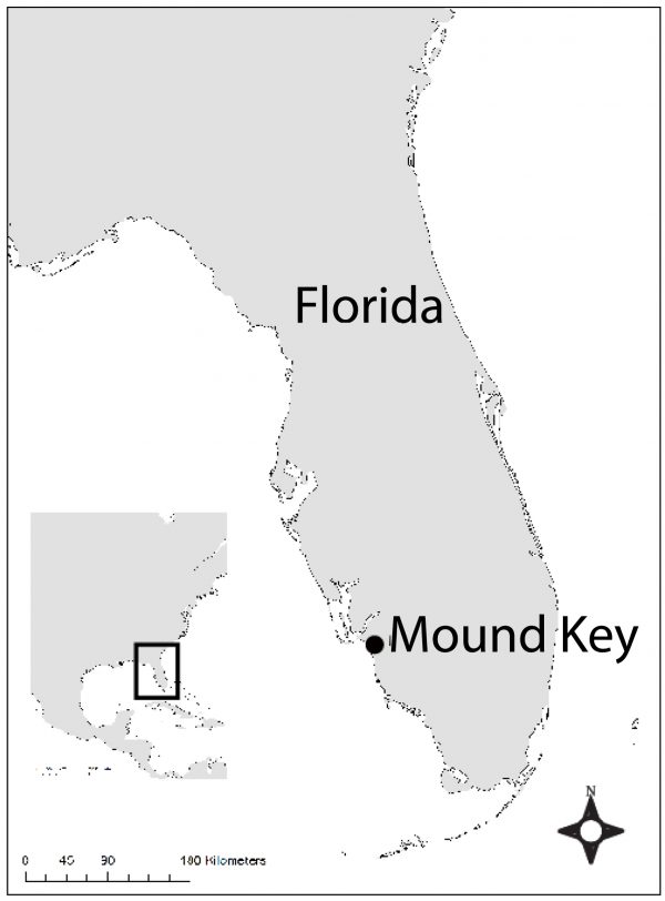 Sophisticatedly engineered ‘watercourts’ stored live fish, fueling ...