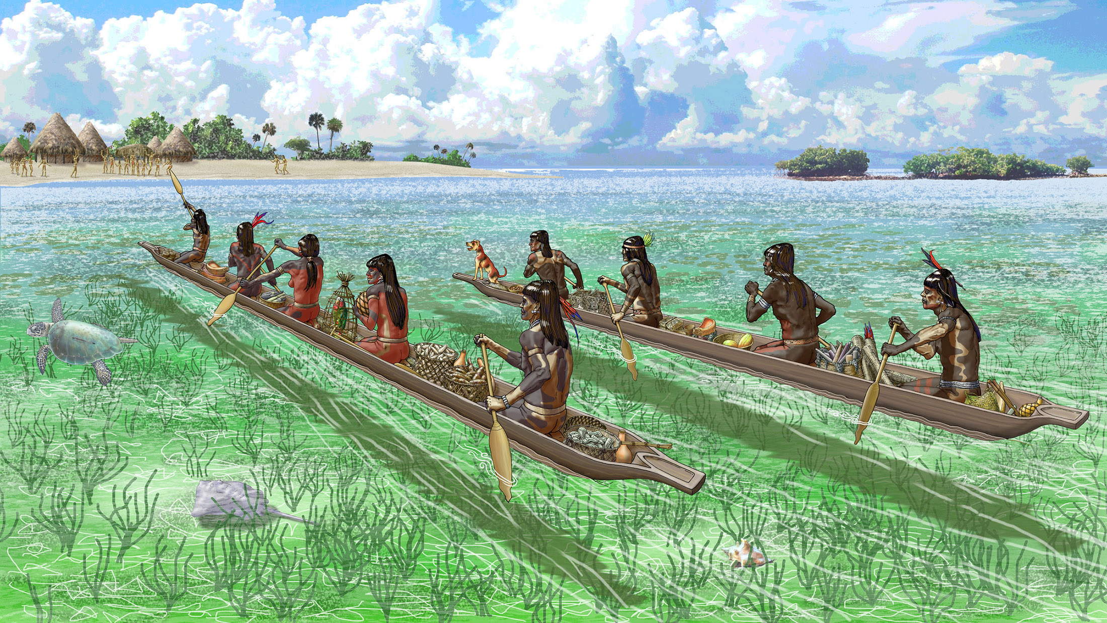 Ancient DNA retells story of Caribbean’s first people – Research News