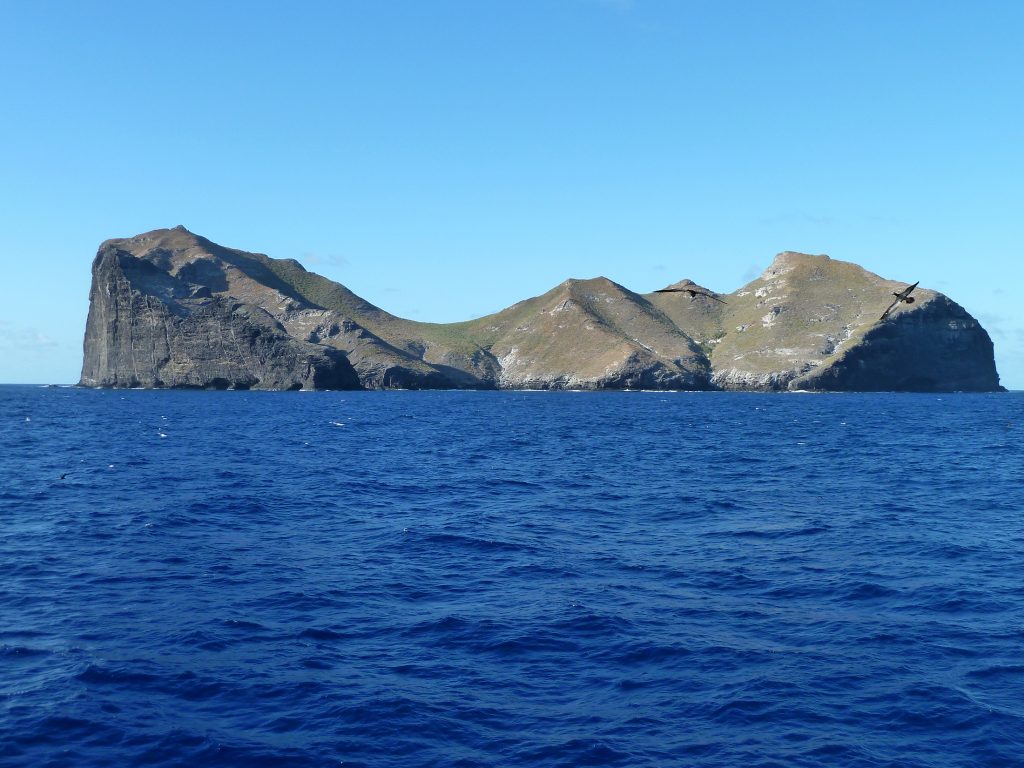 Halle Marchese – Research News