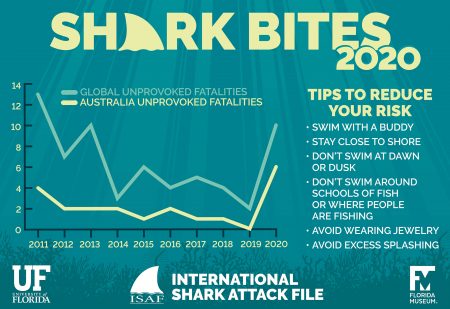 Shark attack numbers remained ‘extremely low’ in 2020, but fatalities ...