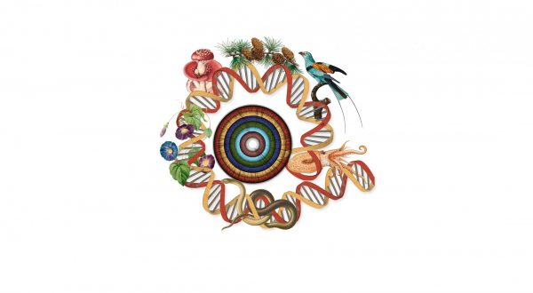 Earth BioGenome Project enters new phase – Florida Museum Science