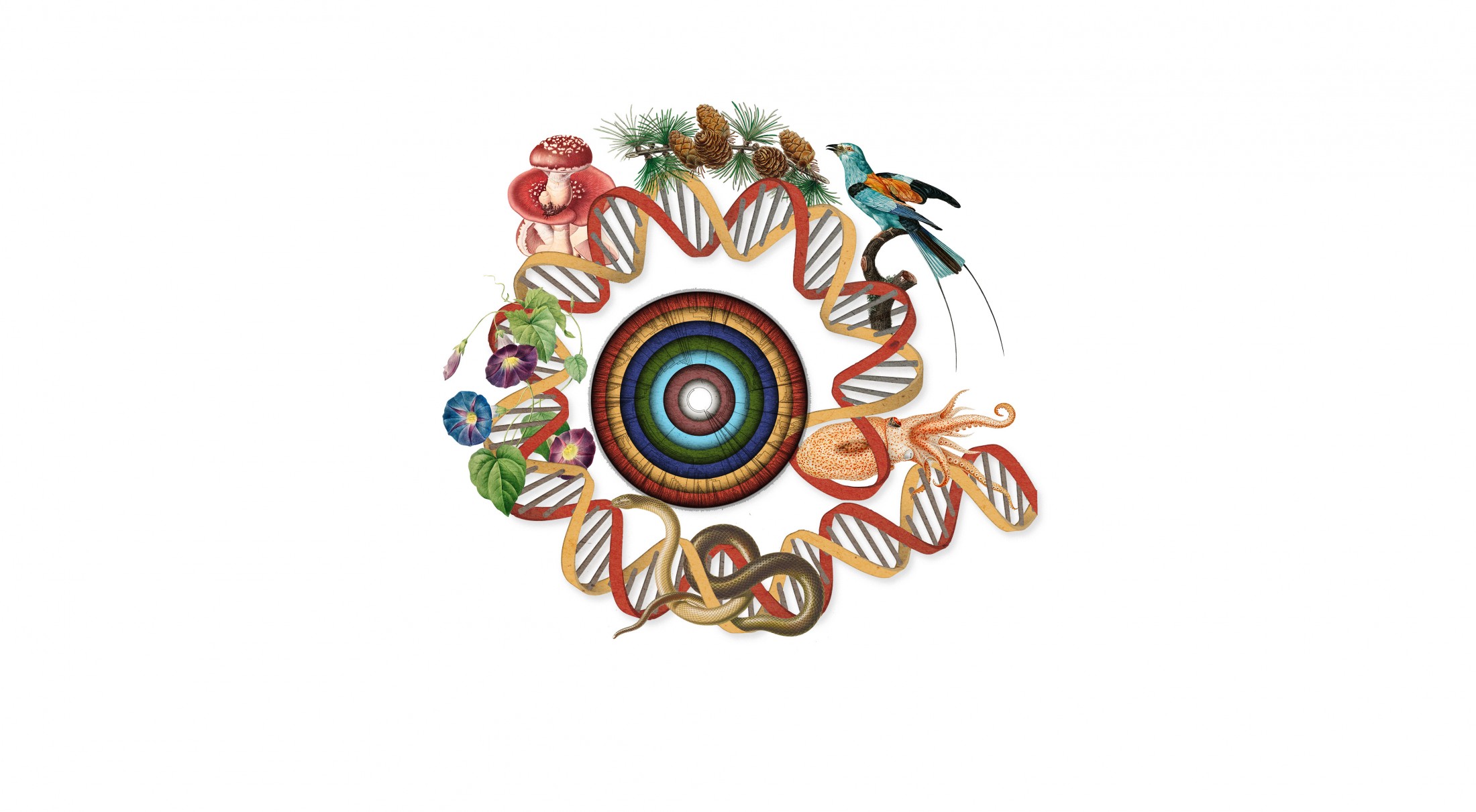 Earth BioGenome Project enters new phase – Research News