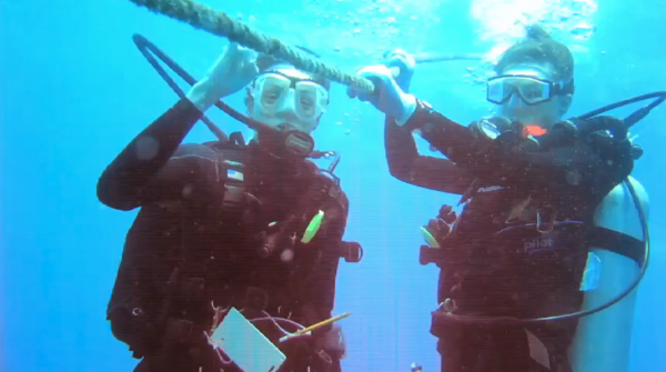 The Moorea Island Biocode Project – Florida Museum Science