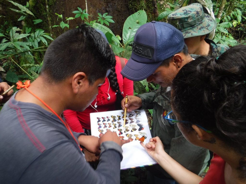 Park rangers use butterflies to take planet’s pulse in a biodiversity ...