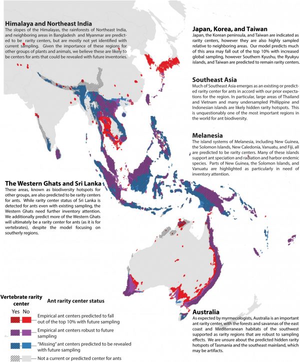 Researchers use AI to create a treasure map of undiscovered ant species ...