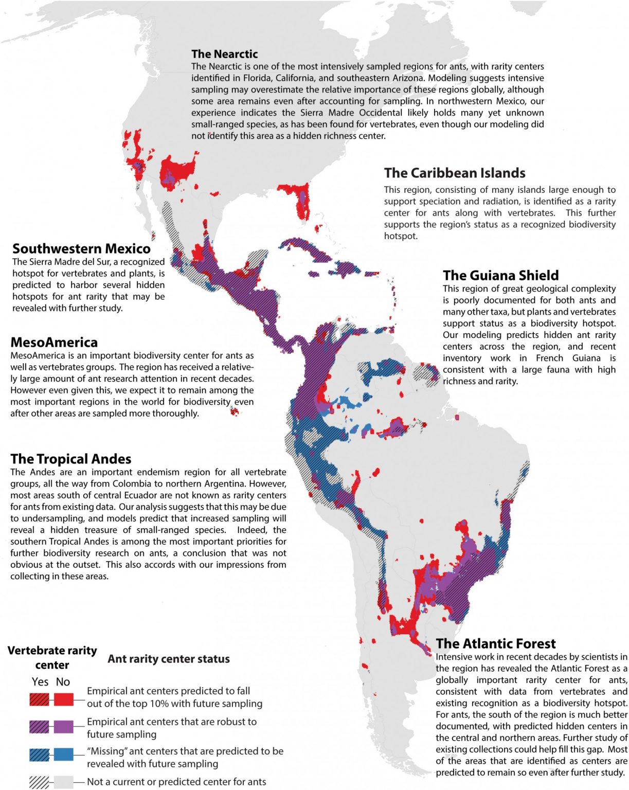 Researchers use AI to create a treasure map of undiscovered ant species ...
